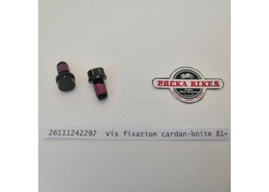 Pocka Bikes – Vente de pièces détachées moto BMW - Vis fixation cardan boîte à partir de 09/1980